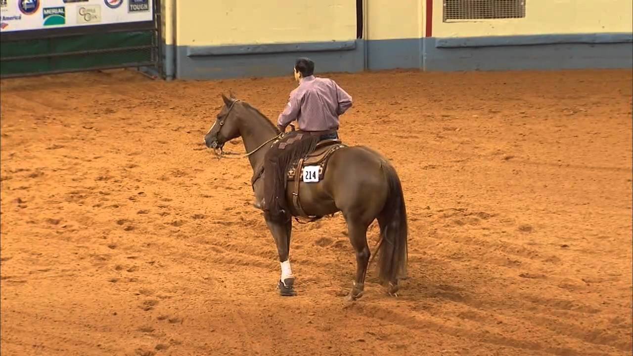 Bryce Briggs - 2012 AQHYA World Championship Boxing - YouTube