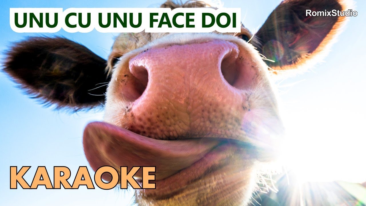 Karaoke 🆕 Unu cu unu face doi (COVER) Petrica Matu Stoian - Negativ cu ...