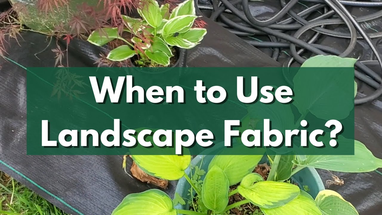The Best Use For Landscape Fabric Is To Start New Garden Beds YouTube The Best Use For Landscape Fabric Is To Start New Garden Beds YouTube