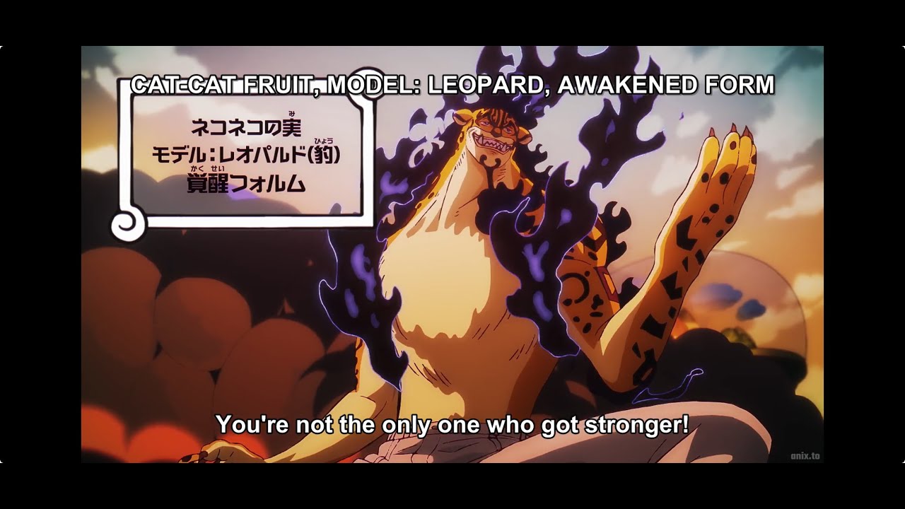 CAT-CAT FRUIT - MODEL : LEOPARD [AWAKENED FORM] | LUFFY V/S LUCCI | Ep ...