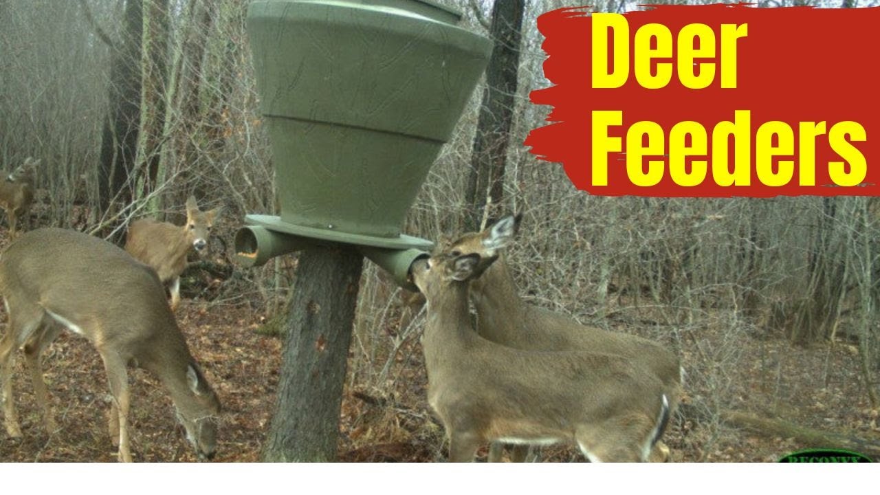 The Best Deer Feeders for Successful Hunts! - YouTube