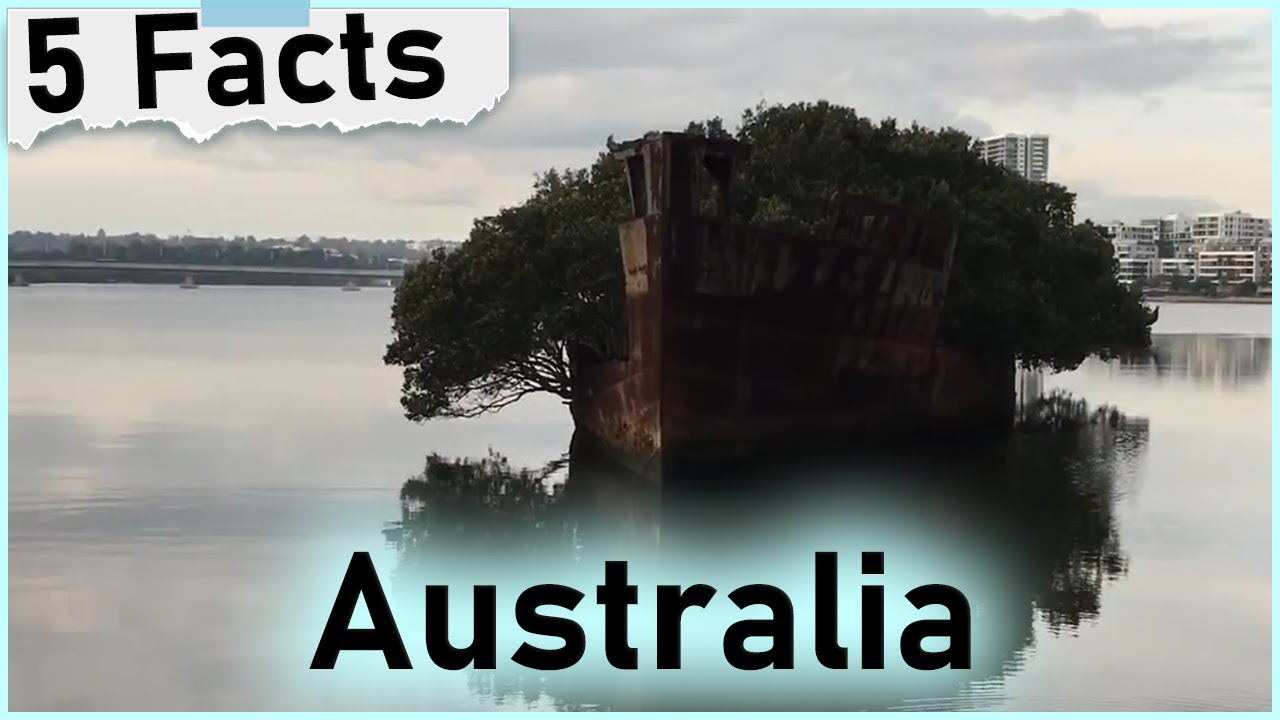 5 Random Facts About Australia - YouTube