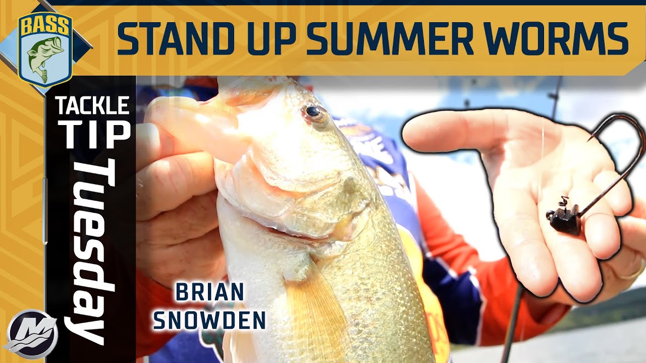 Stand up your Worms in the Summer! (Brian Snowden's favorite big worm ...