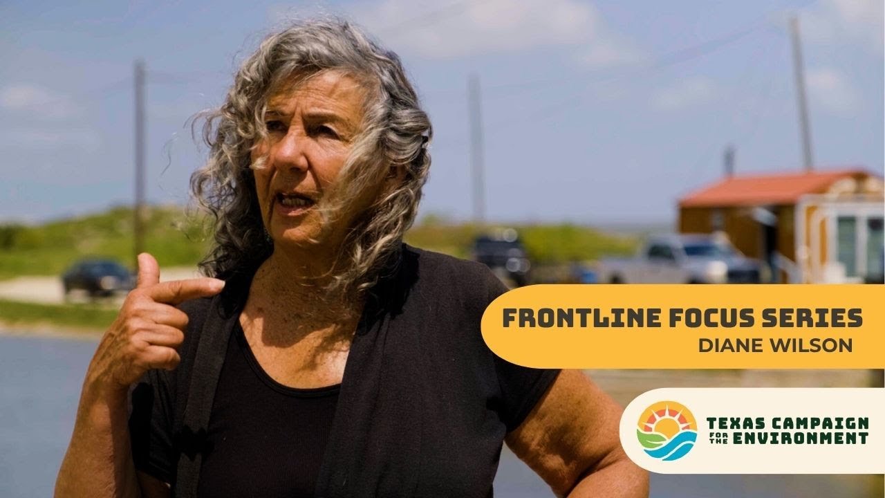 Diane Wilson - Frontline Focus Series (Ep. 2) - YouTube