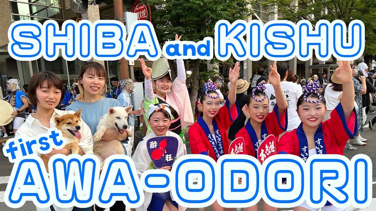 Japanese Dogs and AWA ODORI - YouTube