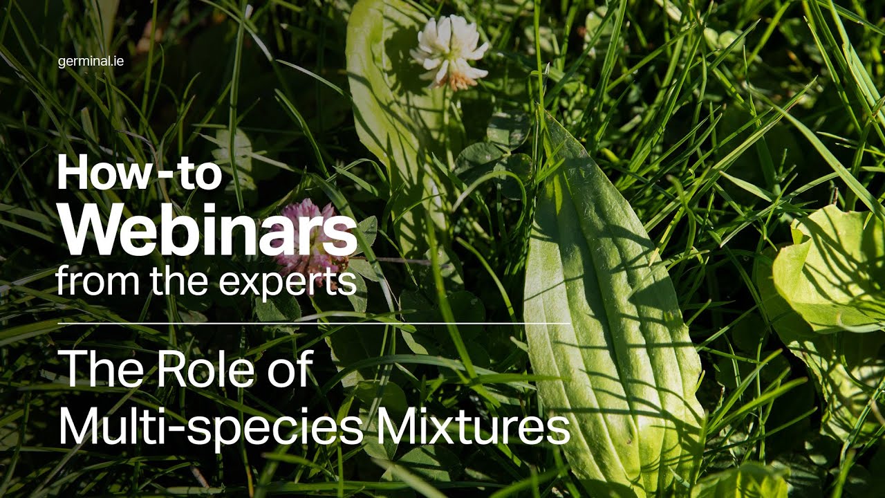 Webinar: The Role of Multi-species Grazing Mixtures - YouTube