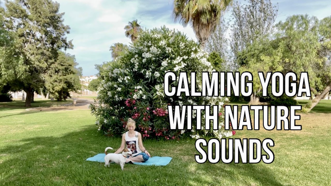 Calming Relaxing Outdoor Yoga Flow with Nature Sounds 🌳🌞 - YouTube