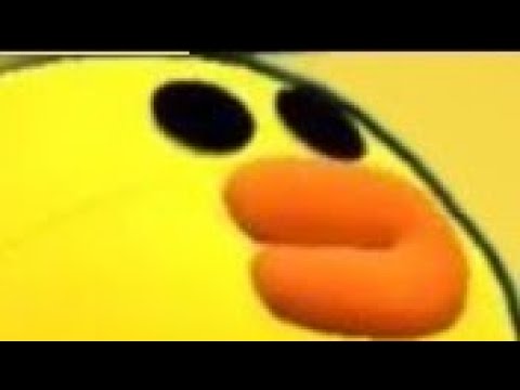 Duck.EXE - YouTube
