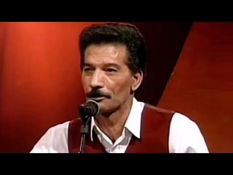 Hozan dilgeş li merdine 