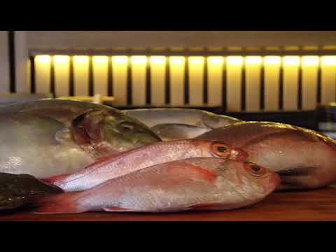 Batta Sushi CDMX - YouTube