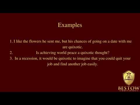 Definition: Quixotic - YouTube