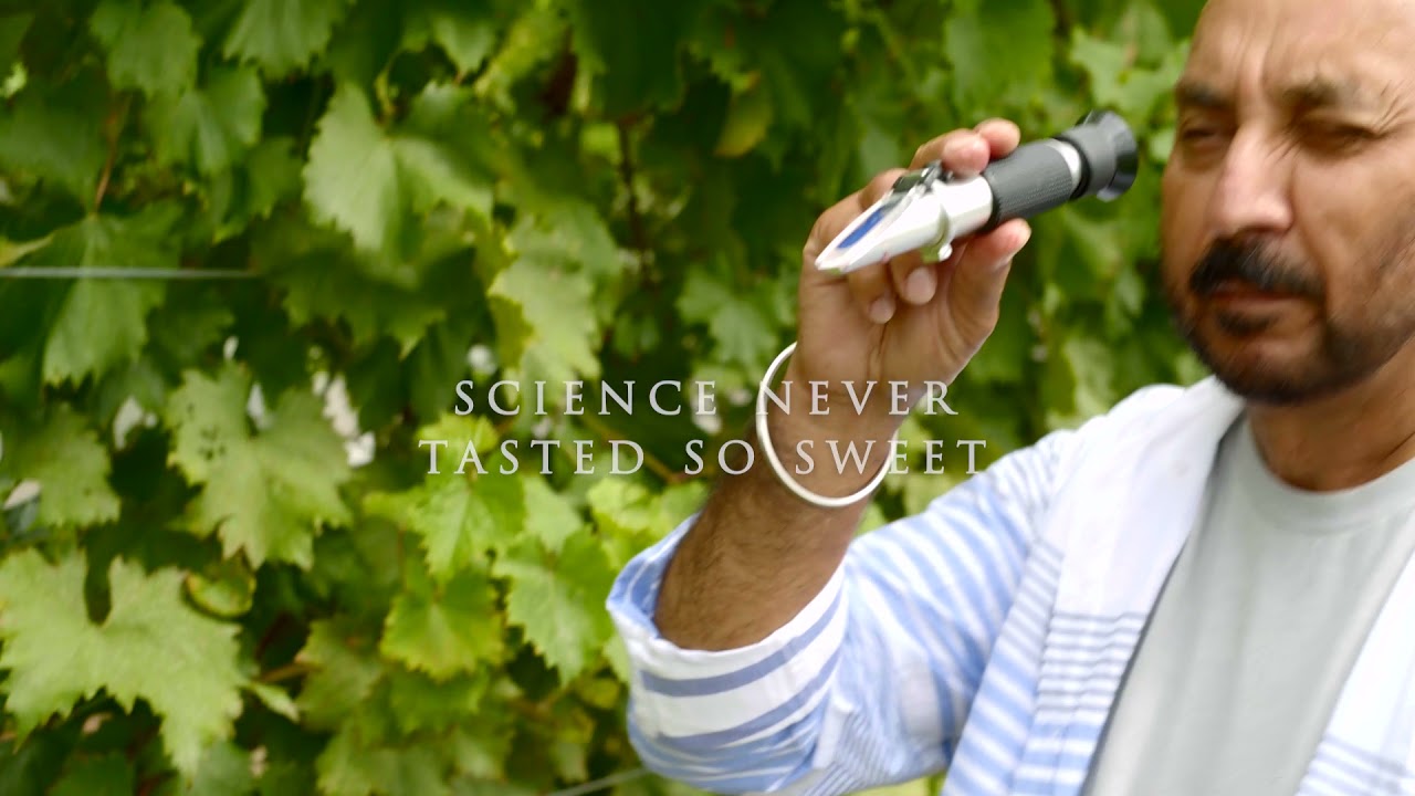 Science Never Tasted So Sweet - YouTube