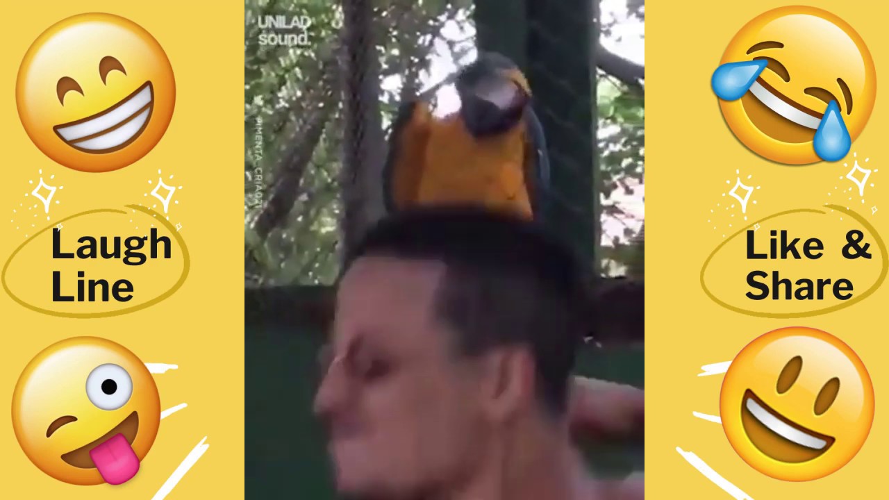 Funny Videos Compilation 2020 # Part 19 - YouTube