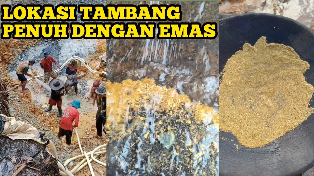 Proses pengambilan butiran emas, menggunakan Dompeng - YouTube