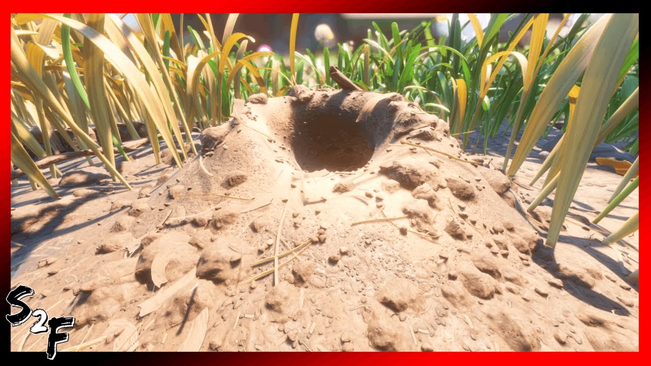 Journey To The Red Ant Hill!! - Grounded (Ep. 5) - YouTube