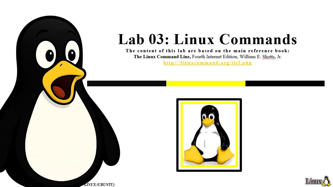 Linux Lab 3 - YouTube