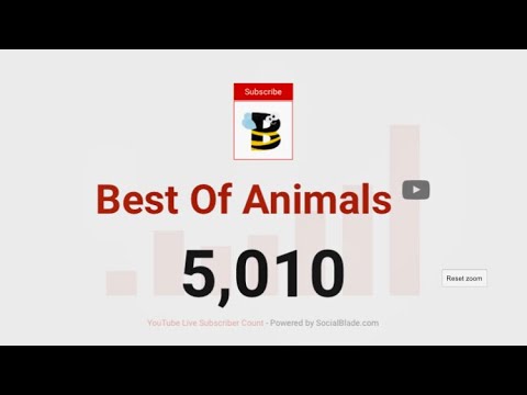 5 Million Subscribers - YouTube