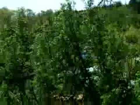 Sky Buckets at Six Flags Over Georgia - YouTube