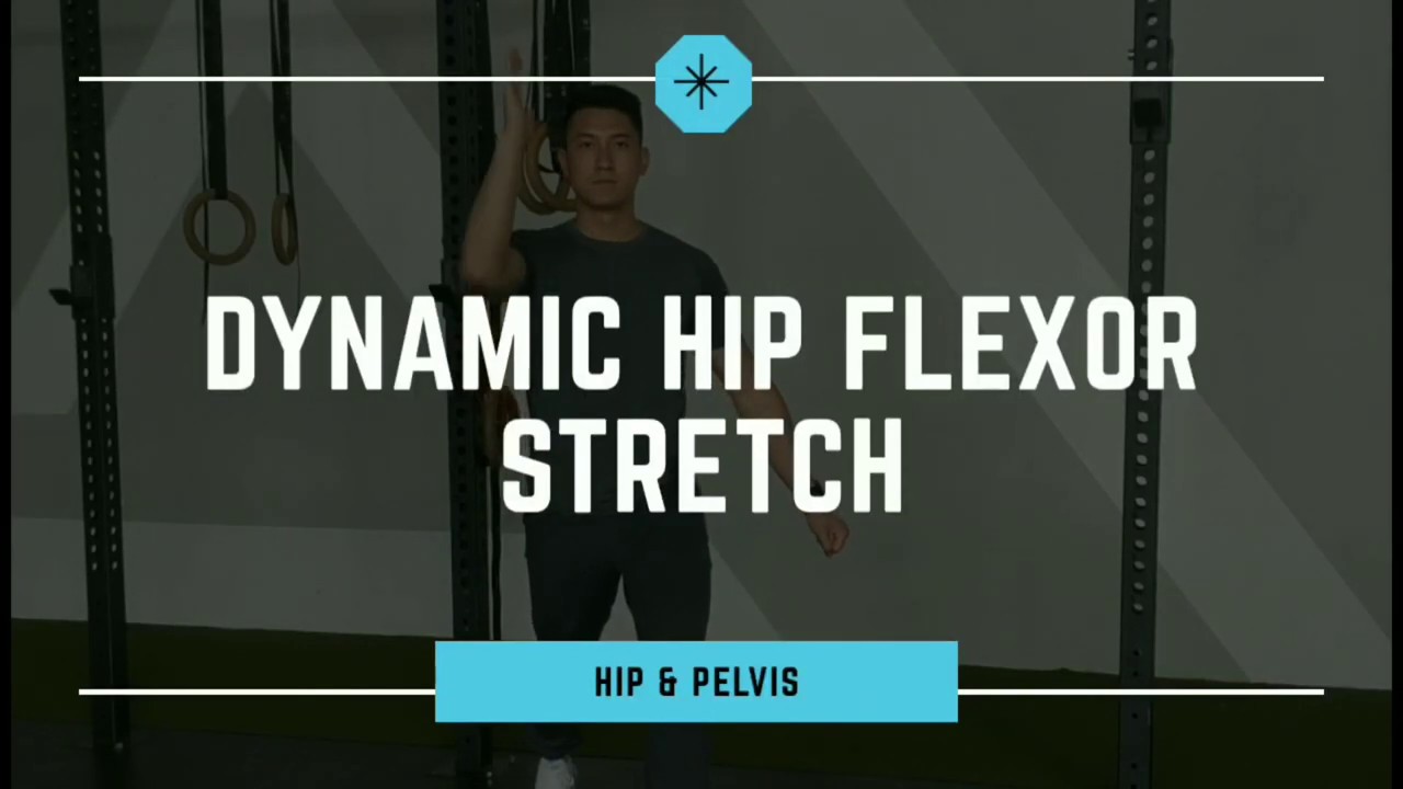 Dynamic Hip Flexor Stretch | Hip and Pelvic Mobility - YouTube