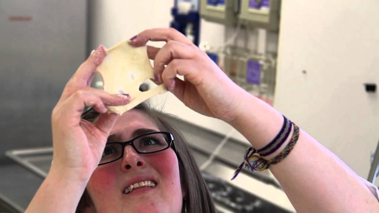 Five Shot Video Sequence Example - The Cook and The Book - YouTube