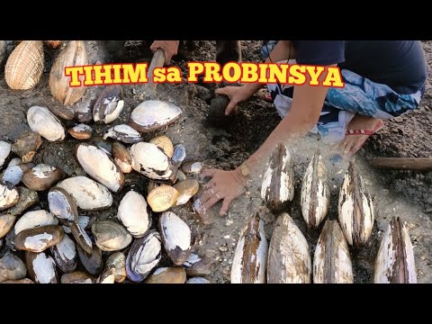 TIHIM SA QUEZON - YouTube