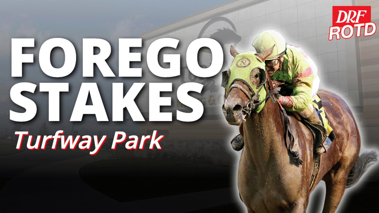 Forego Stakes @ Turfway Park | DRF Friday ROTD - YouTube