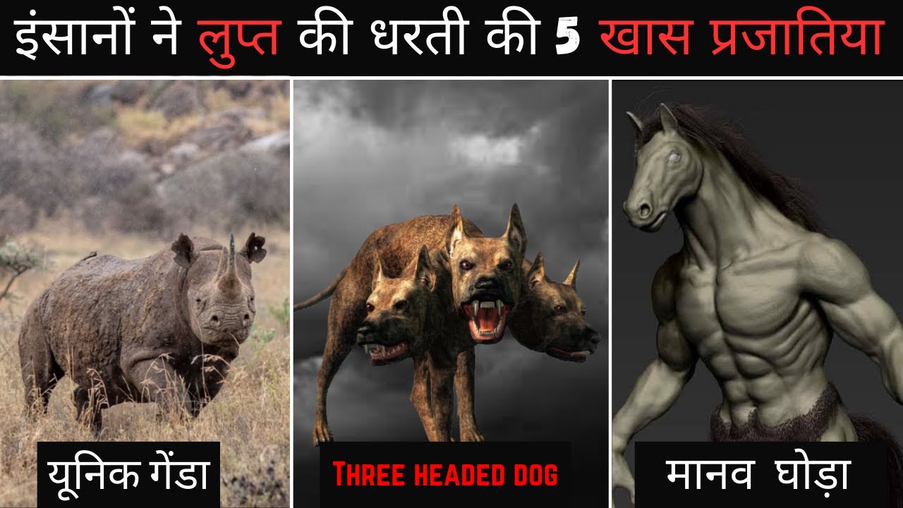इंसानों की वजह से लुप्त हुए कुछ खास जानवर | Extinct Animals In History ...