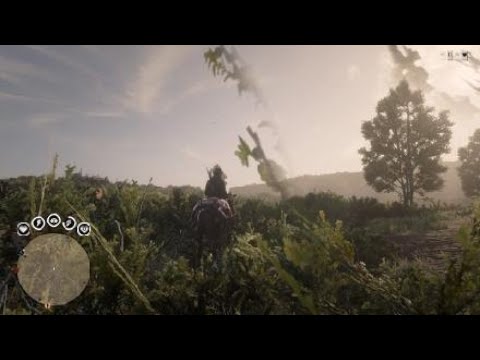 RDR2 Online - Cougar spawn south of Benedict Point, Map Location at 3: ...