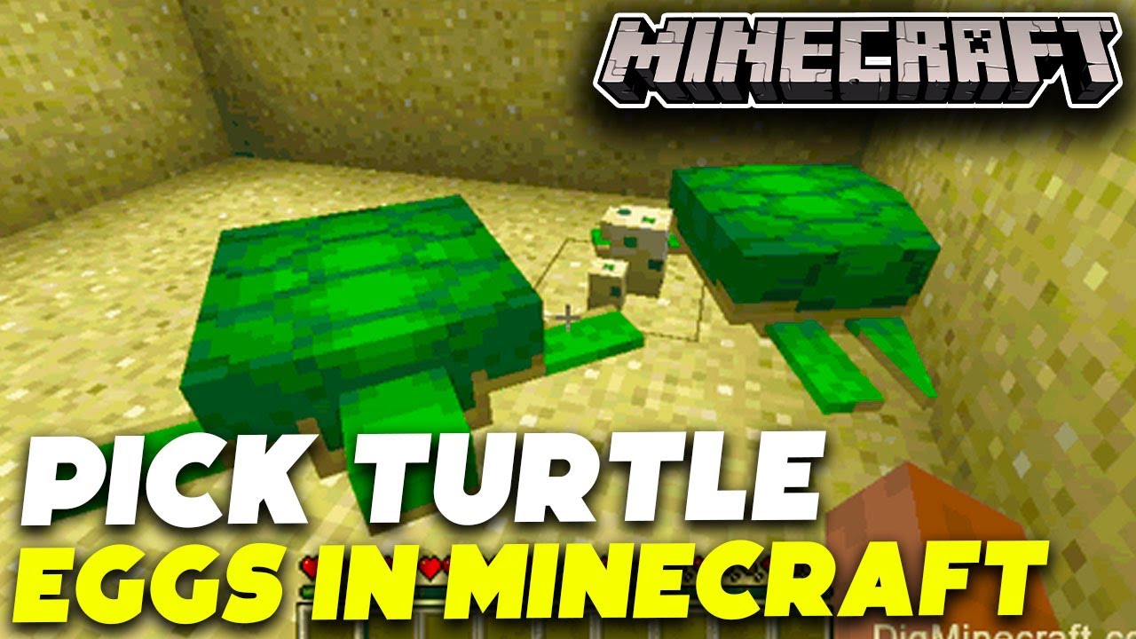 How to pick up tutles eggs in minecraft - YouTube