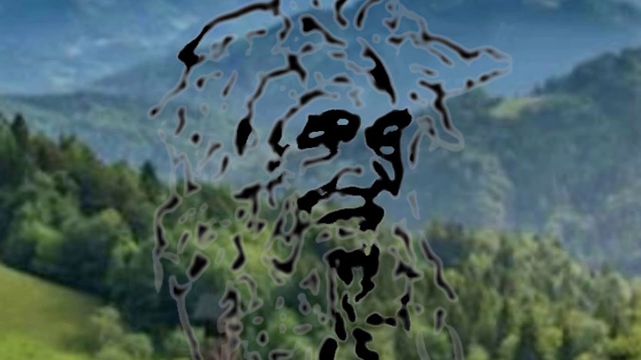 The Ancient Beings - YouTube