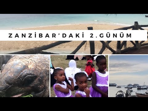 AFRİKA’DA 2. GÜNÜM | İNSAN BÜYÜKLÜĞÜNDE KAPLUMBAĞALAR | ZANZİBAR SOKAKLARI #gökyüzüöğretmenleri