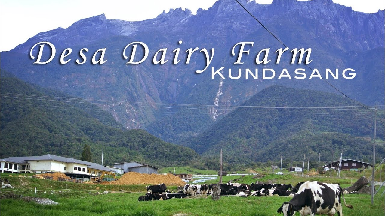 Jalan-Jalan ,Random Video, Kundasang Trip | Kundasang Sabah, Malaysia ...