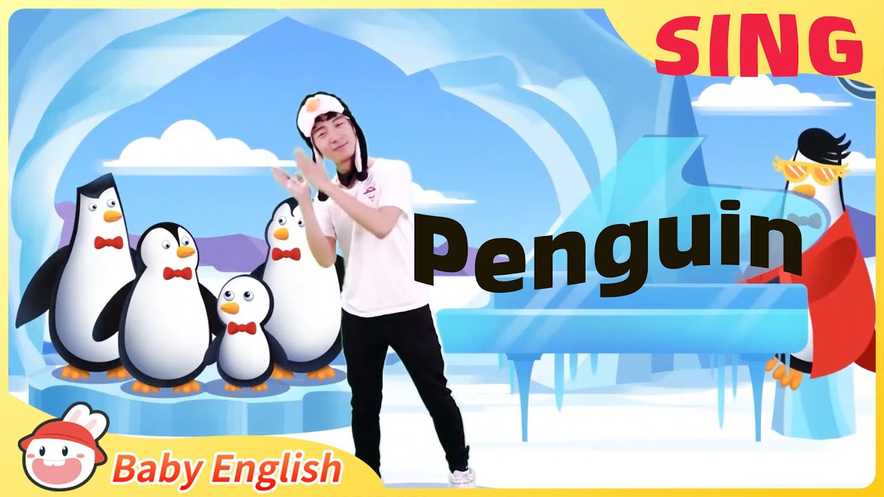 Penguin | 企鹅 | Awesome Animals | Songs for Kids - YouTube