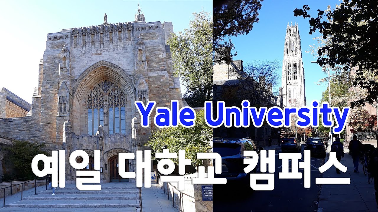 예일대학교 캠퍼스 투어 도서관 지나 아트갤러리 까지 Yale University Campus Tour 뉴 헤이븐, 코네티컷 주 ...