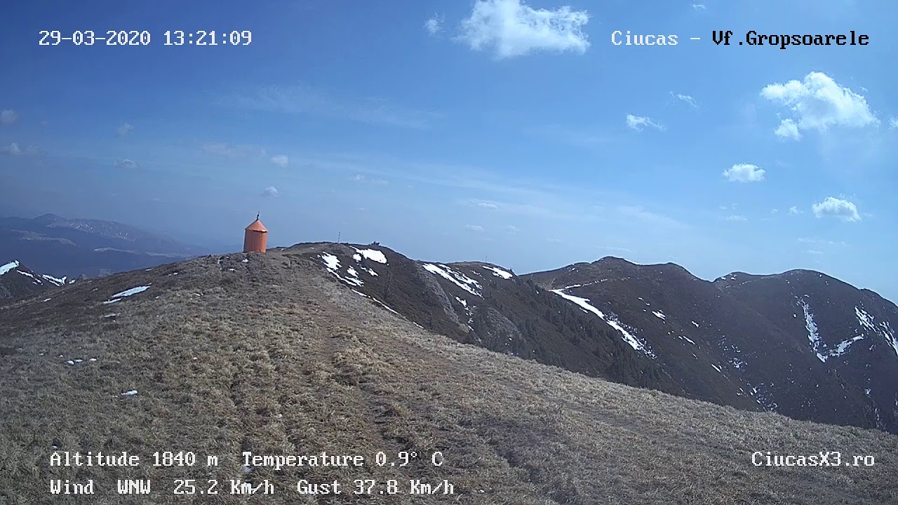 Radu Nastase Live Stream - YouTube