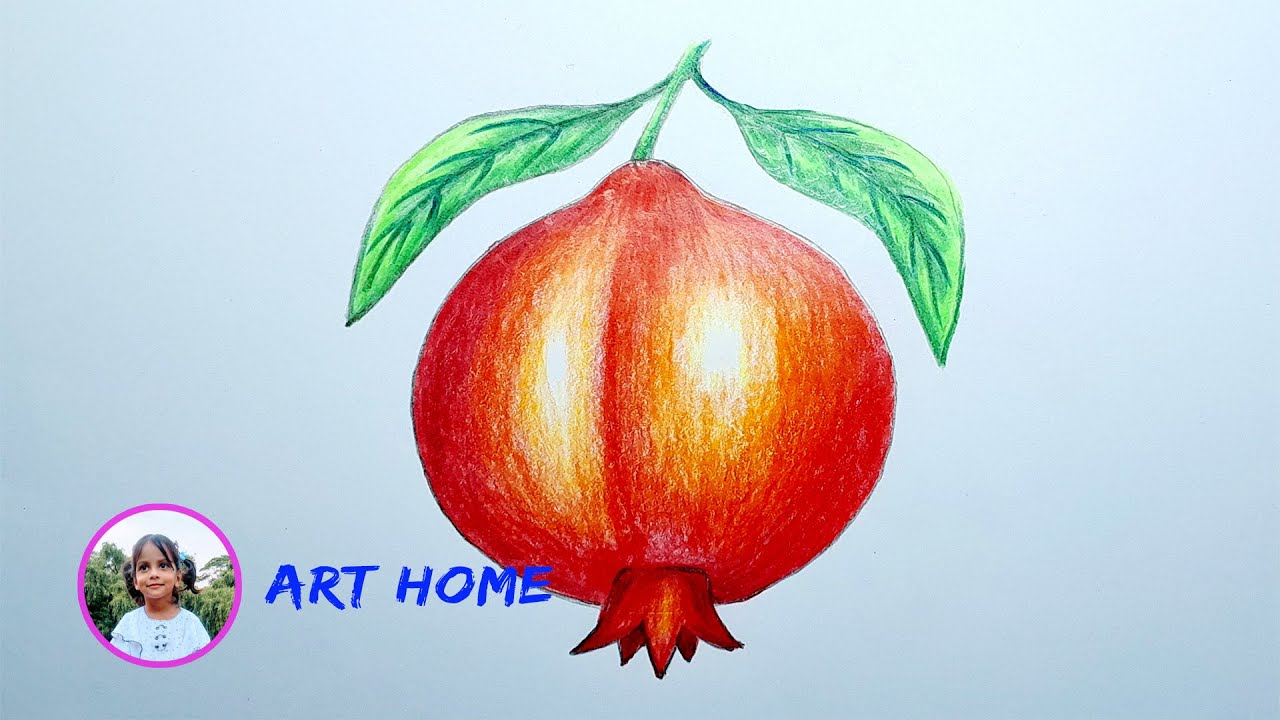 How to Draw Pomegranate | Drawing Step by Step Easy | ART HOME - YouTube