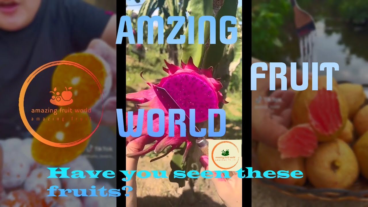 amazing multiple fruits | "Diving into a Symphony of Flavors | The ...