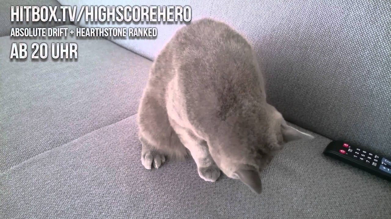LIVE-STREAM JETZT AUF HITBOX.TV mit Cat Cam....Weirdo... - YouTube