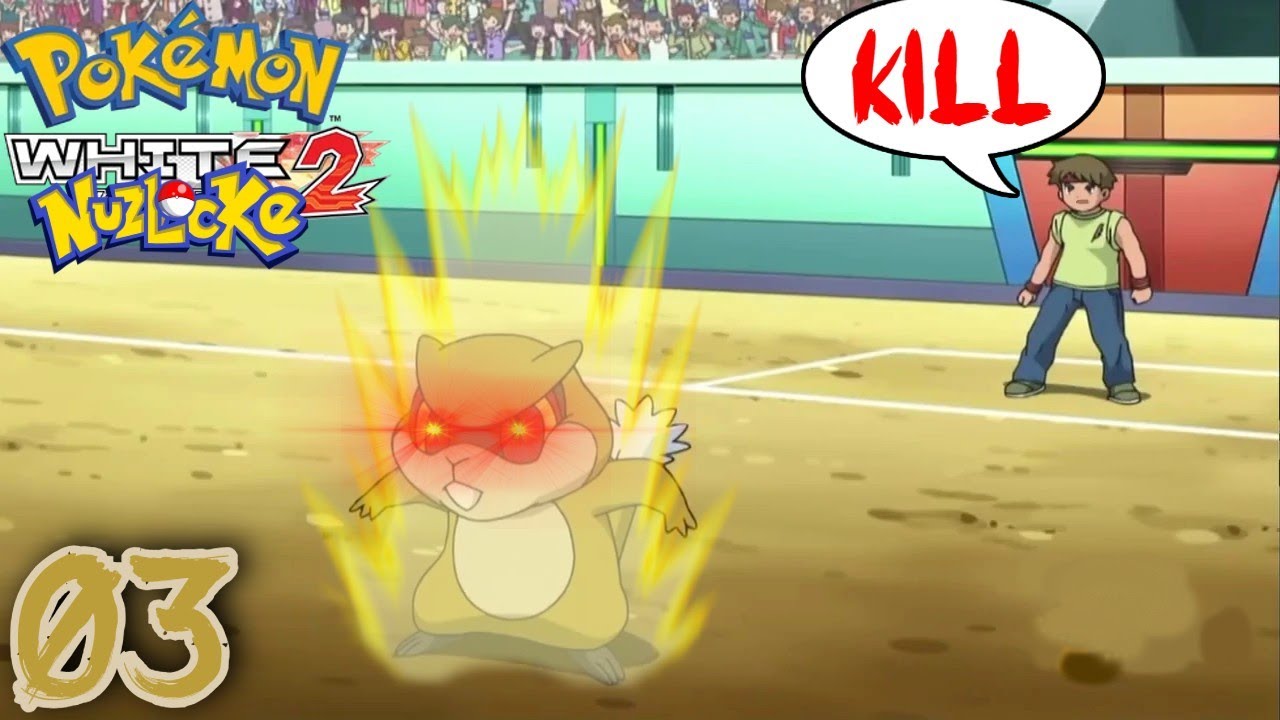 NOO MY FIRST DEATH! REST IN PEACE LITTLE ONE! | Pokemon: White 2 ...