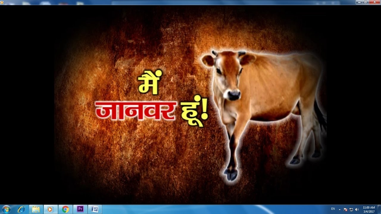 आखिर जानवर कौन ? | awara janwar problems and solutions | cow videos ...