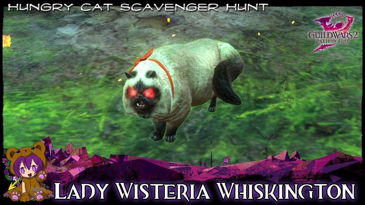 GW2 Lady Wisteria Whiskington (Home Instance Cat) - YouTube