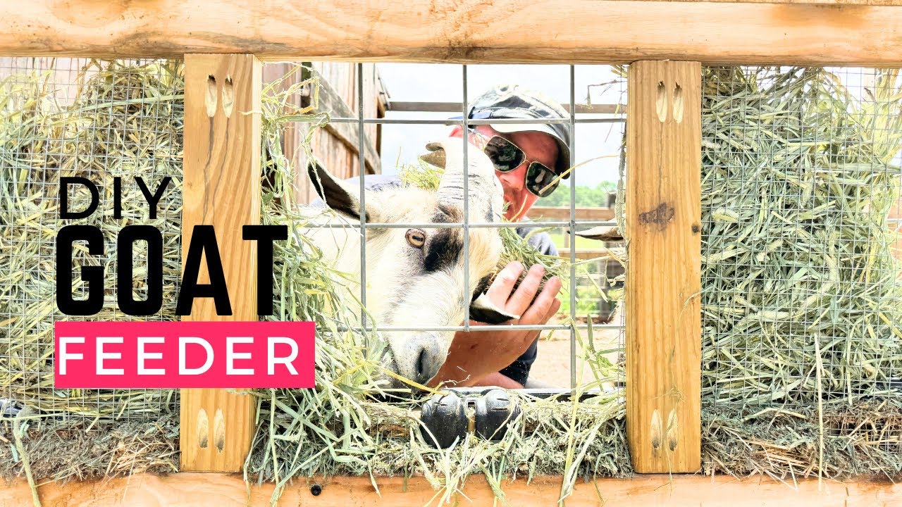 Vacation-Ready Goat Feeder: Ensuring Happy Goats While You're Away ...