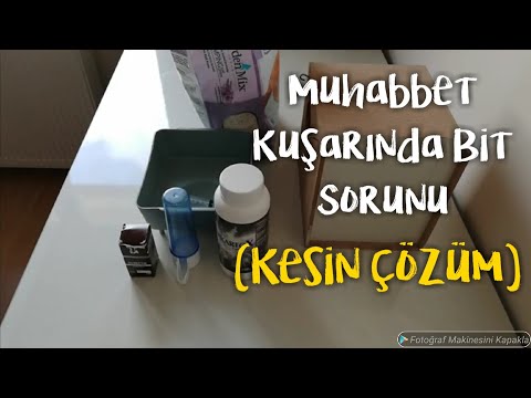 Muhabbet Kuşlarında Bit Sorunu - Kesin Çözüm - Vilmectin - Akartox