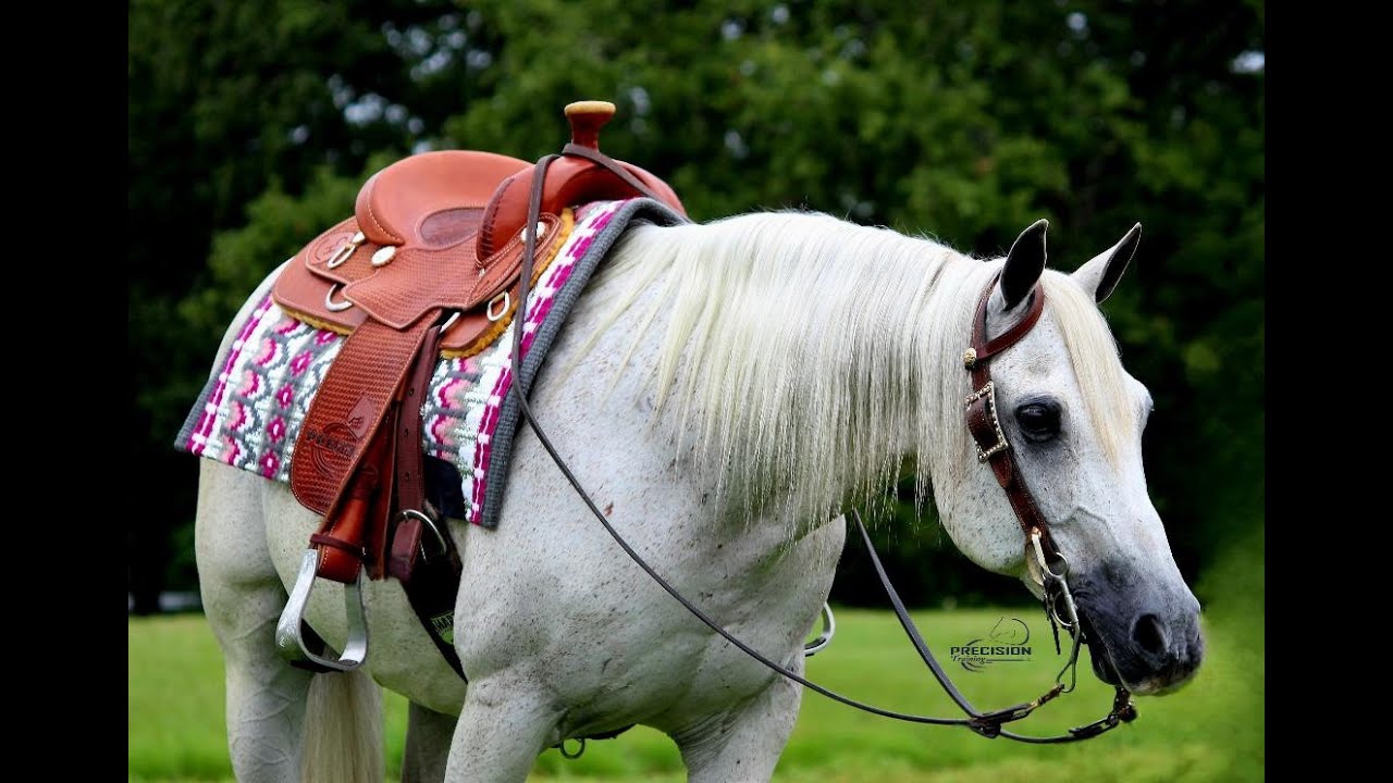 Marshall Sale Video - YouTube