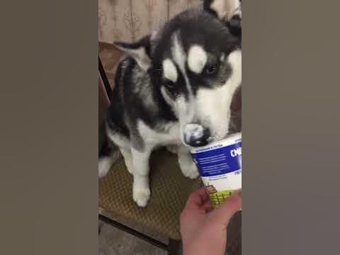 Волчок - YouTube