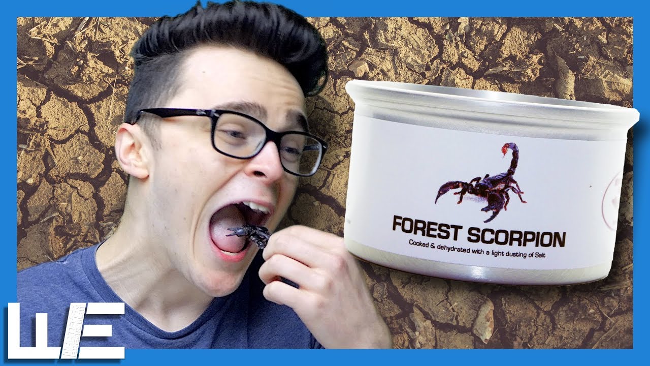 Flavored Insects and a FOREST SCORPION!? (CHALLENGE) - YouTube