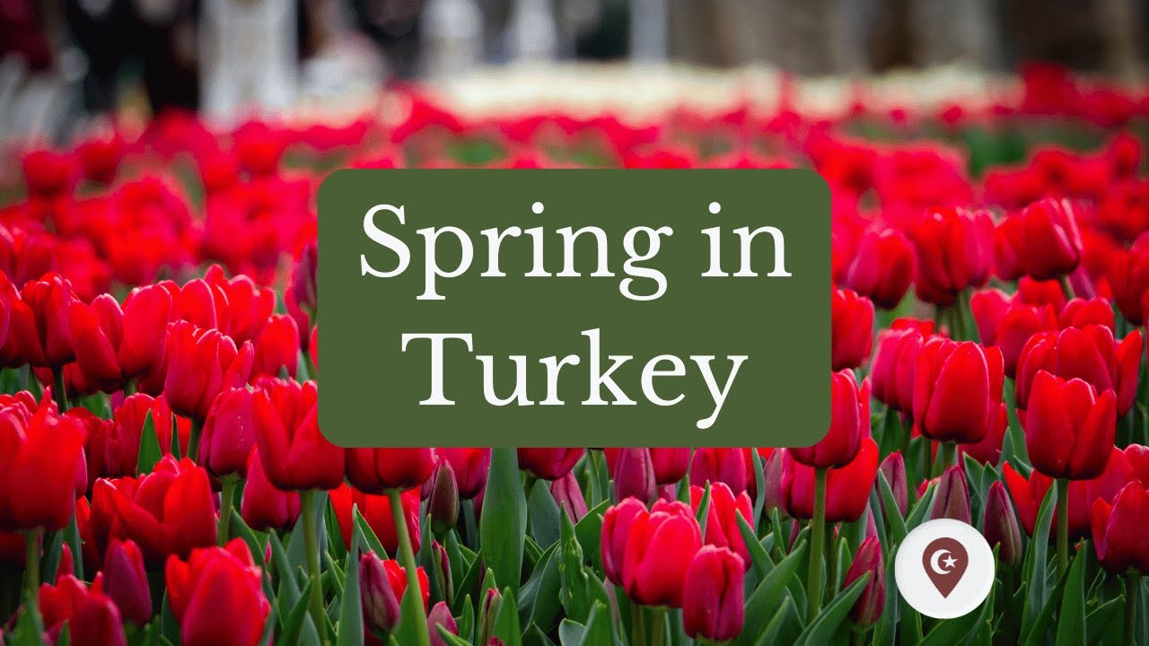 Spring in Turkey | What to wear in Spring? | Istanbul Tulip Festival ...