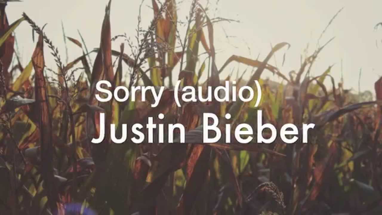 Sorry - Justin Bieber (audio) - YouTube