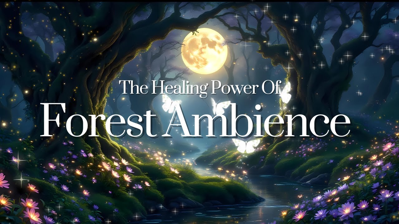 Nighttime Forest Ambience Sounds For Peaceful Night's Sleep,Deep ...