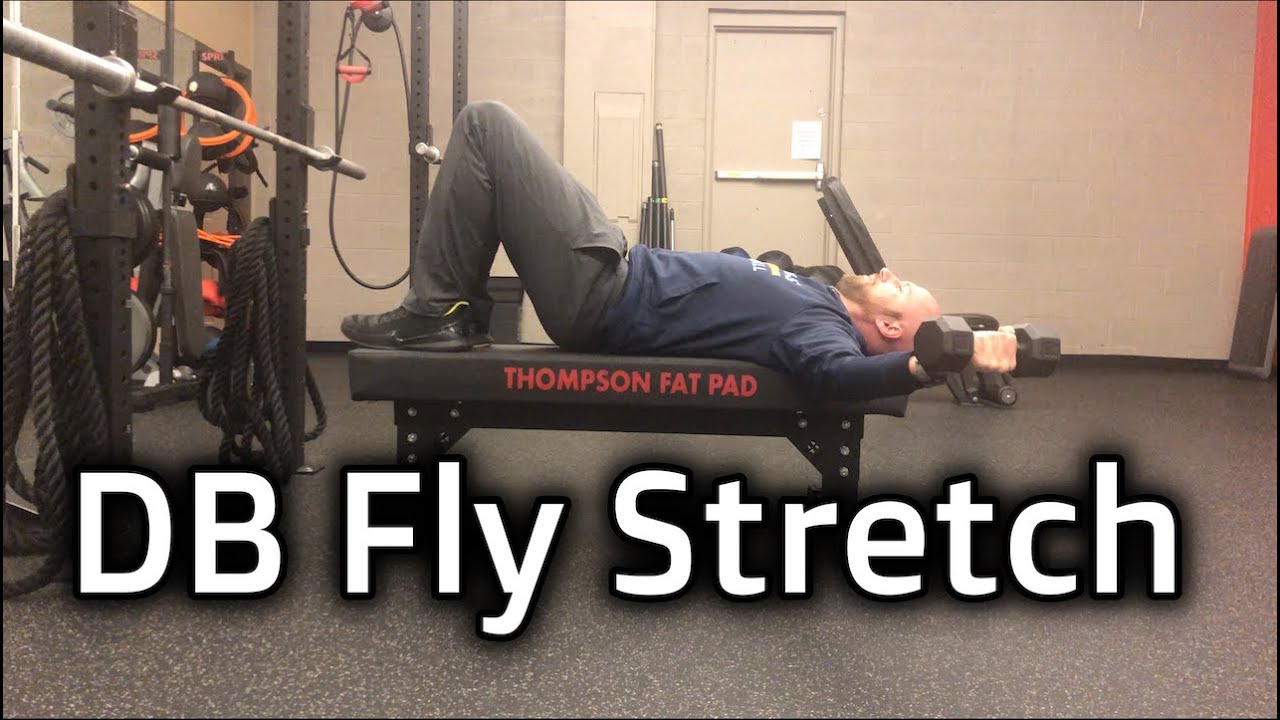 DB Fly Stretch - YouTube